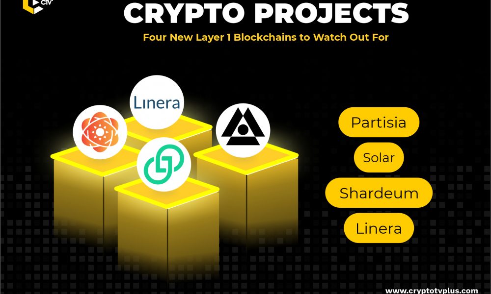 Four New Layer 1 Blockchains to Watch Out For – CryptoTvplus - The ...