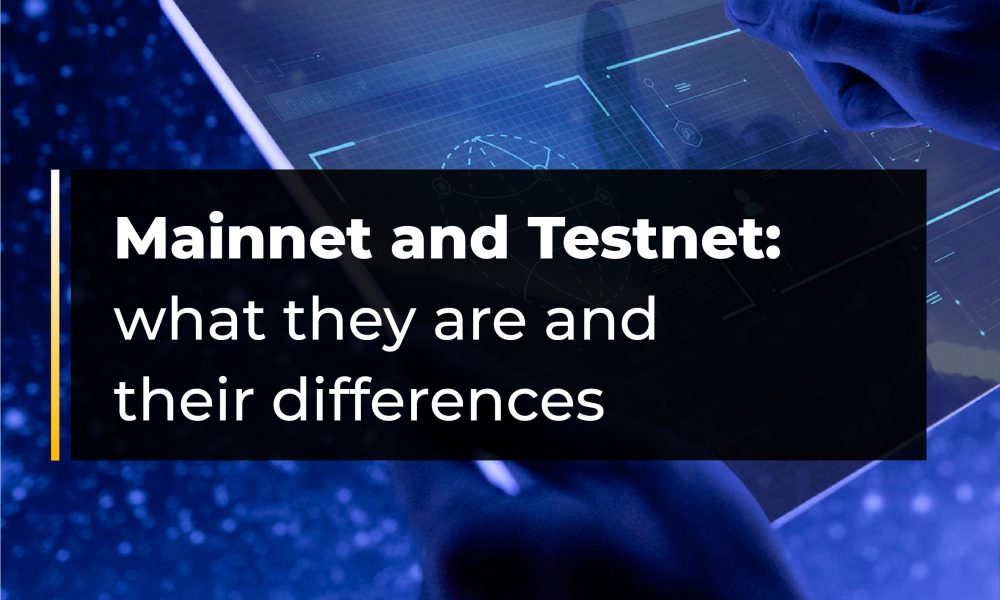 Mainnet and Testnet: what they are and their differences – CryptoTvplus ...
