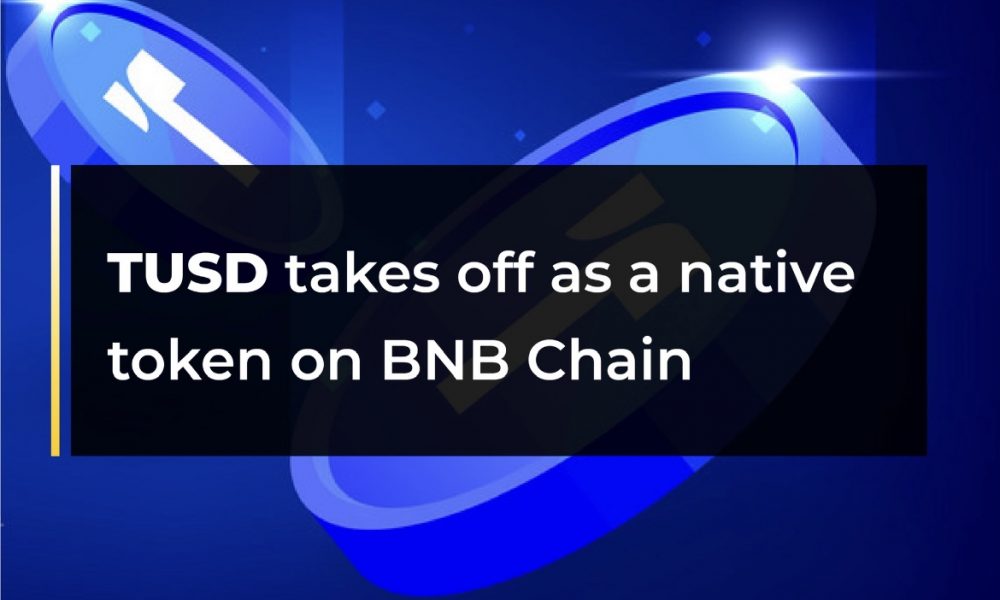 How to identify signs of a potential rug pull in memecoins ...