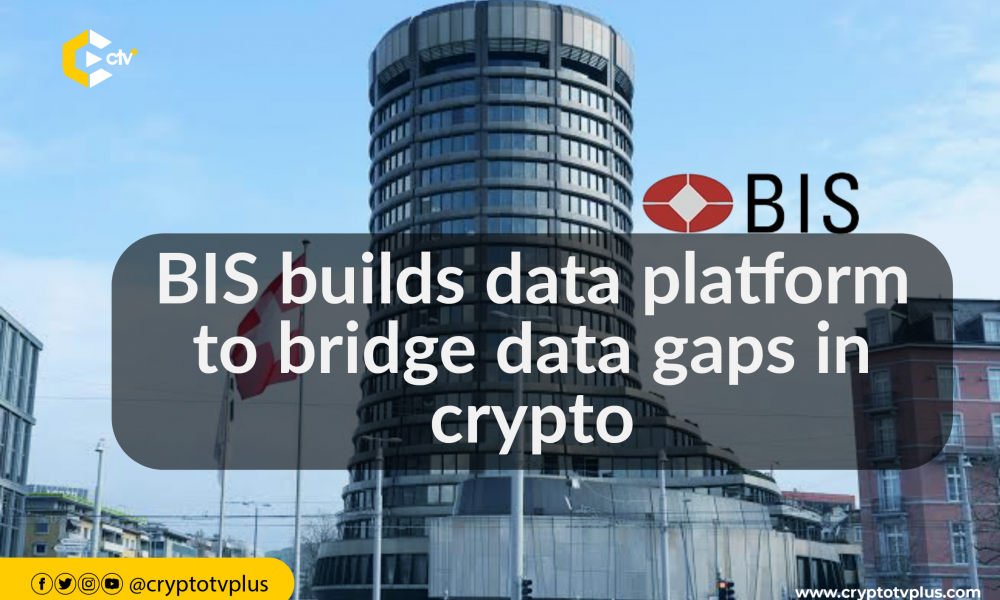 BIS builds data platform to bridge data gaps in crypto – CryptoTvplus ...