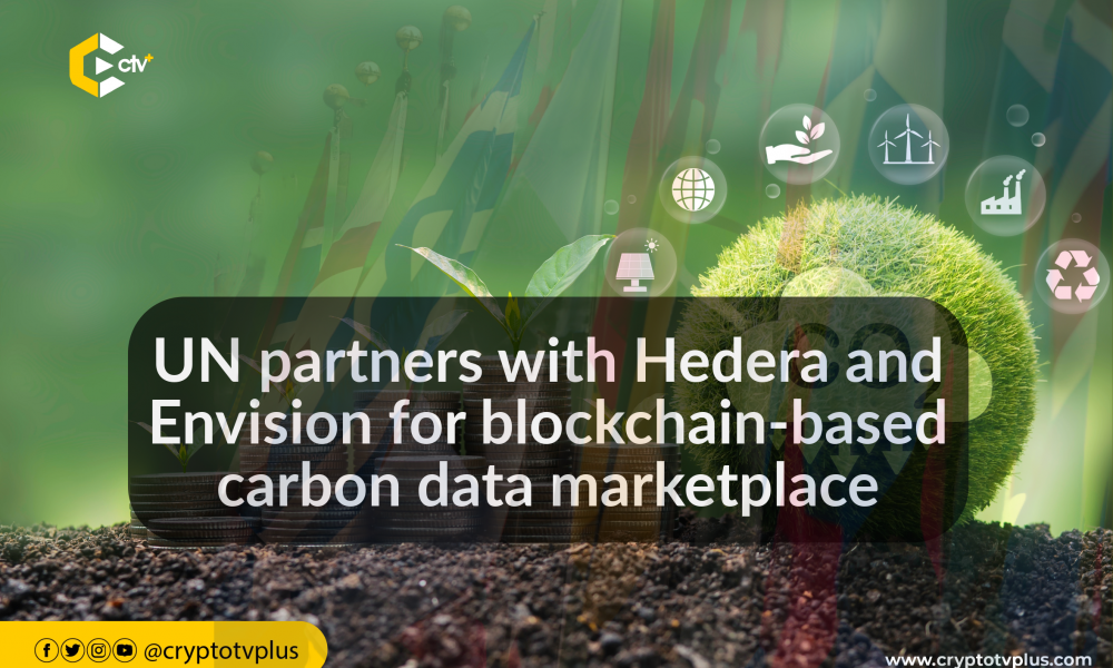 UN partners with Hedera and Envision for blockchain-based carbon data ...