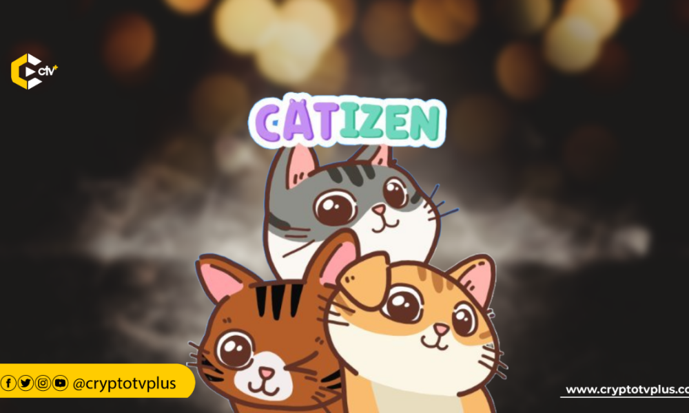 Catizen to launch Game center to support Web3 game development – CryptoTvplus - The Leading ...