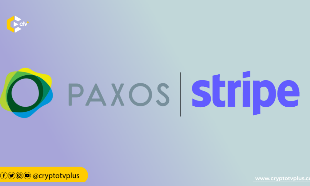 Paxos launches stablecoin payments platform; taps Stripe as first client – CryptoTvplus - The ...